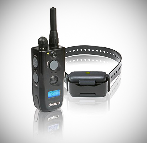 Dogtra Shock Collar Reviews - Are they Worth the Hype?