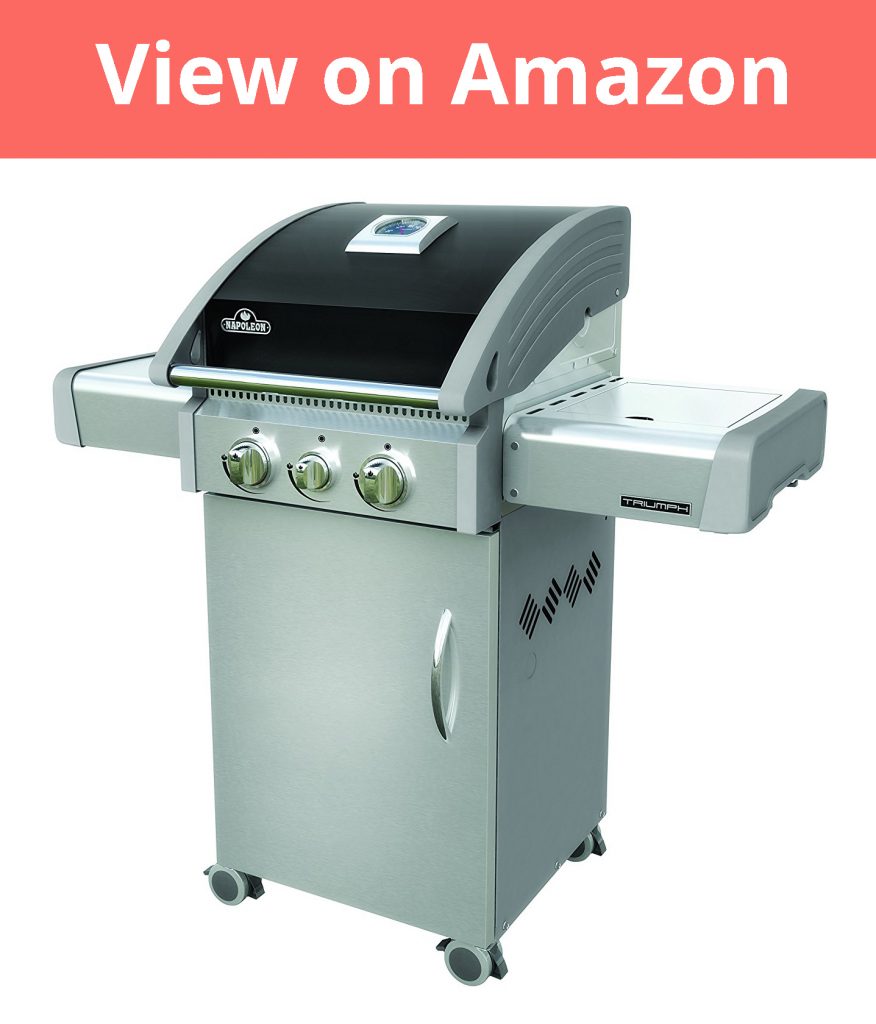 Napoleon Triumph 325 Review (December 2025) - Buyers Guide